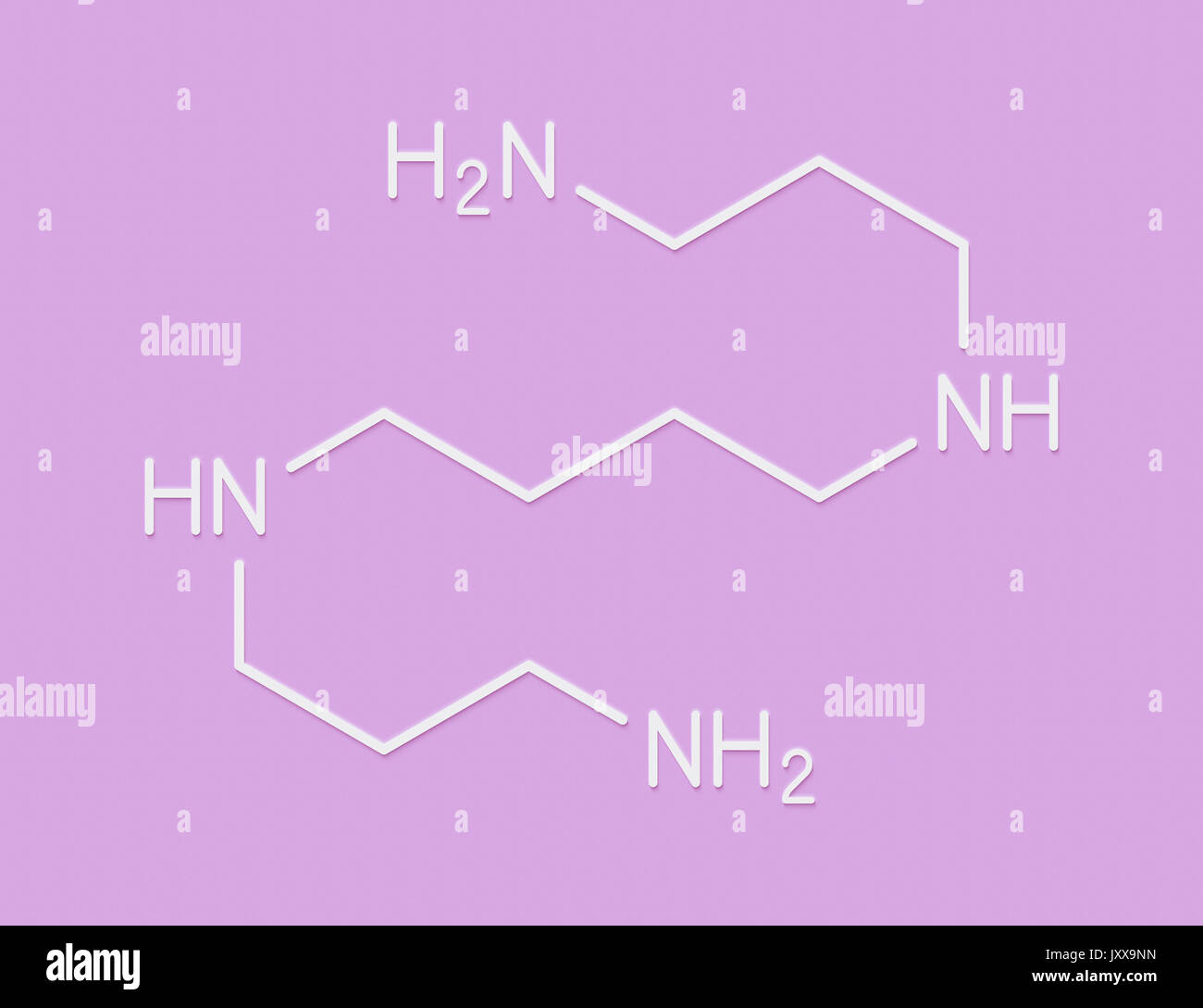 Spermine molecule. Skeletal formula Stock Photo - Alamy