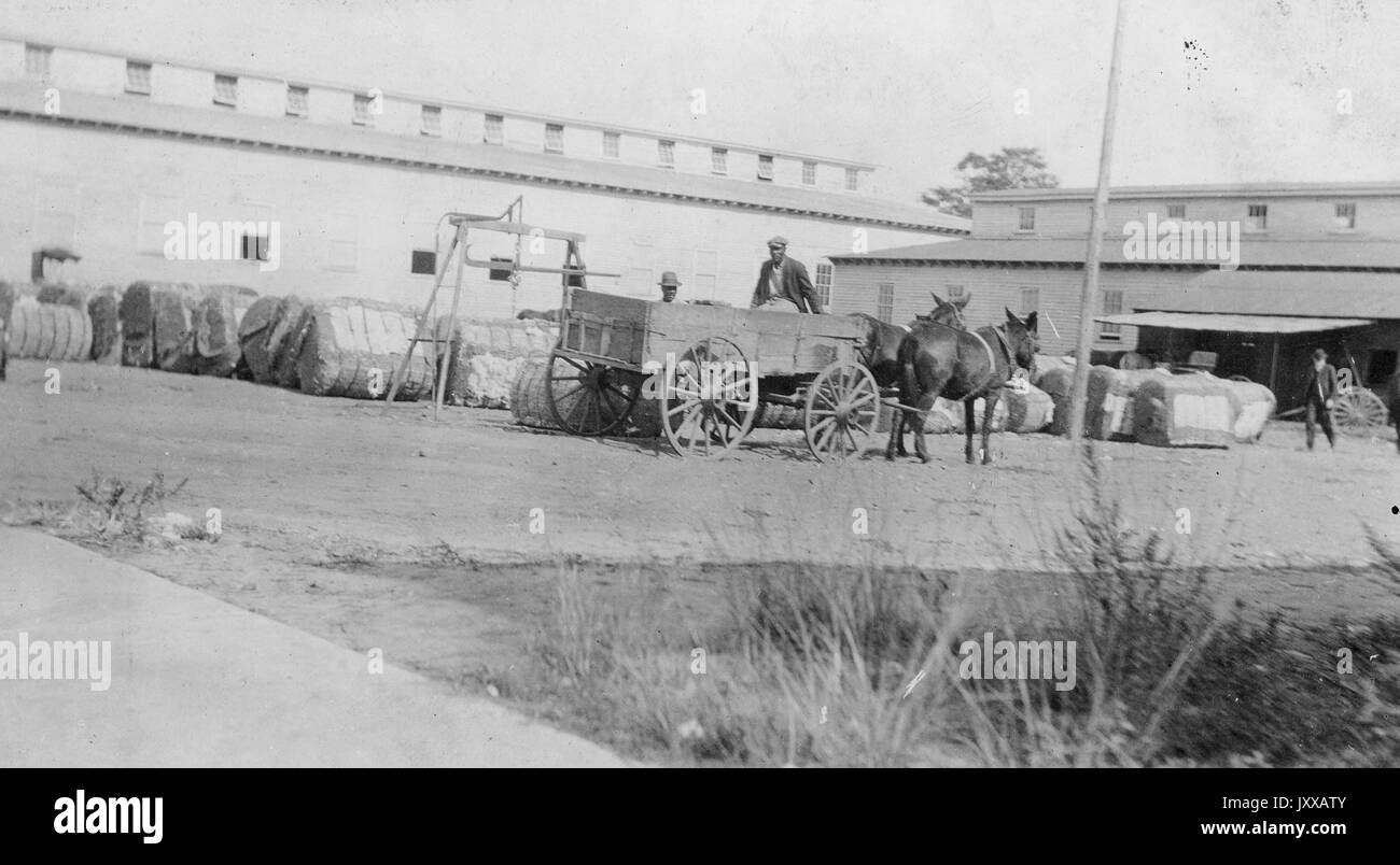 Black man wagon horse hi-res stock photography and images - Alamy