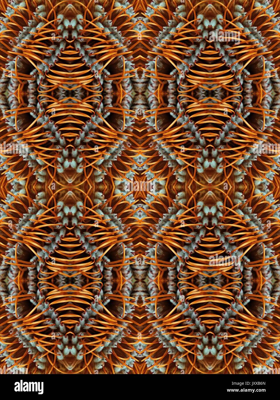 Australian pattern hi-res stock photography and images - Alamy