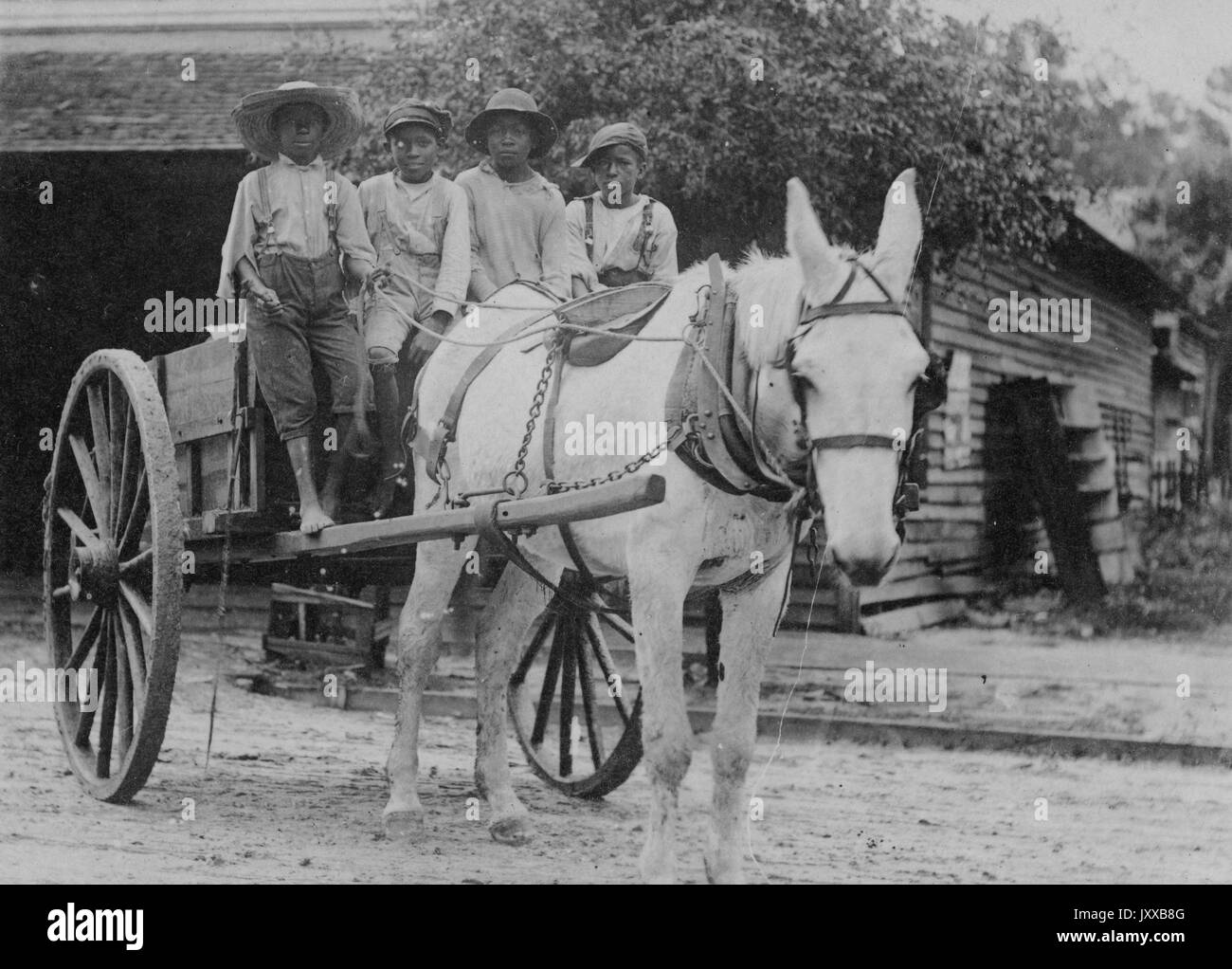 Four young African American boys riding in wagon carried by horse ...