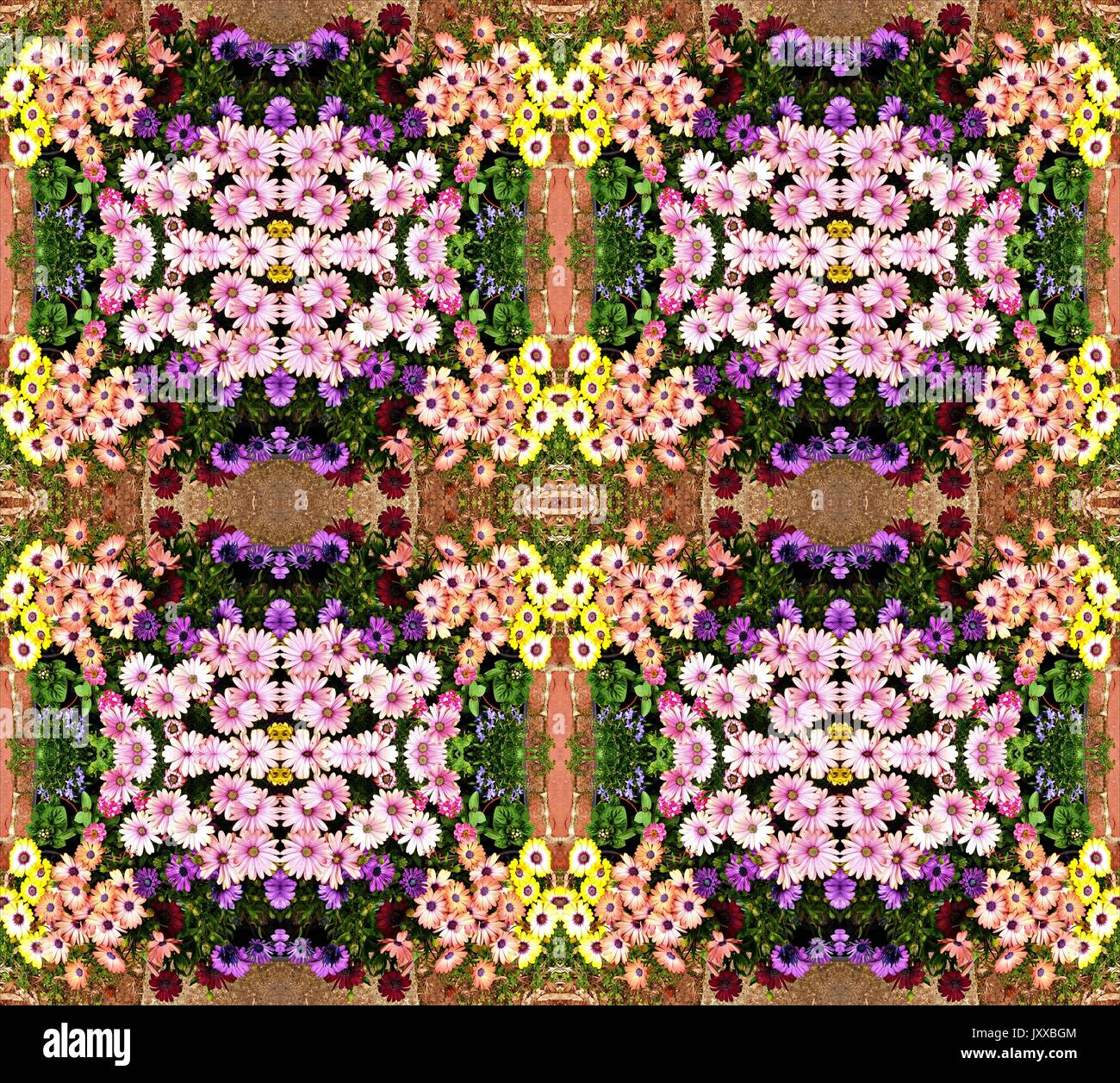Kaleidoscope of flowers hi-res stock photography and images - Alamy