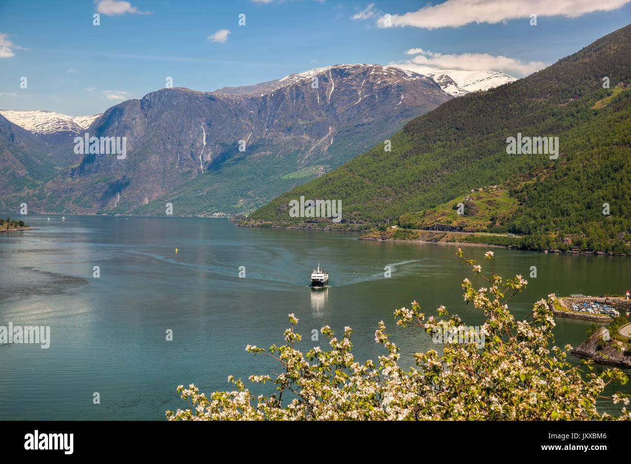 Spring time with cruise ship in fjord, Flam, Norway Stock Photo - Alamy