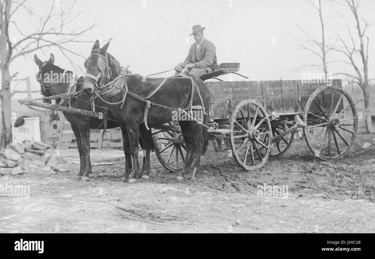 Full length sitting portrait of African American male riding wagon ...