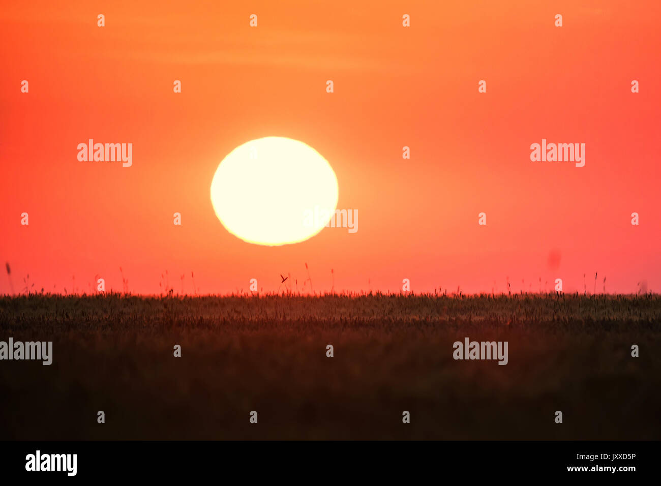 Horizon line with sun setting Stock Photo - Alamy