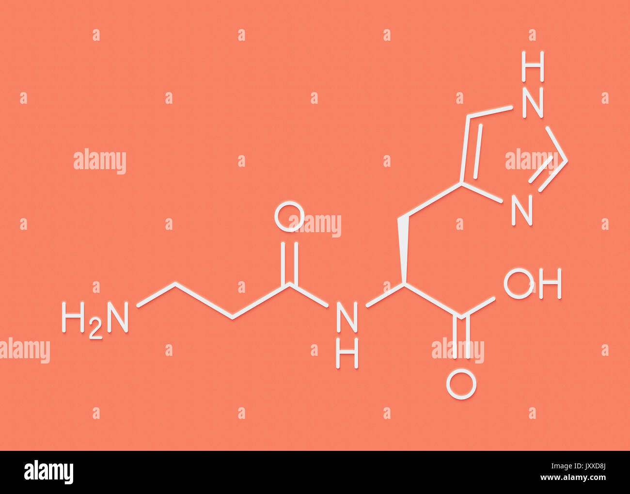 Carnosine (L-carnosine) food supplement molecule. Skeletal formula ...