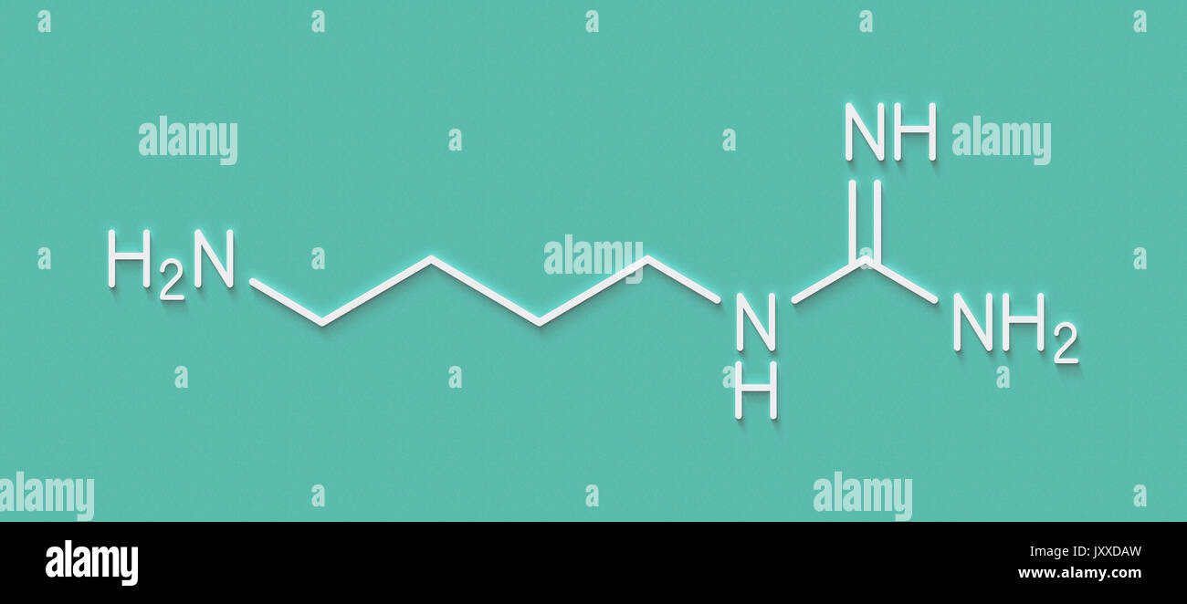 Agmatine molecule. Skeletal formula Stock Photo - Alamy