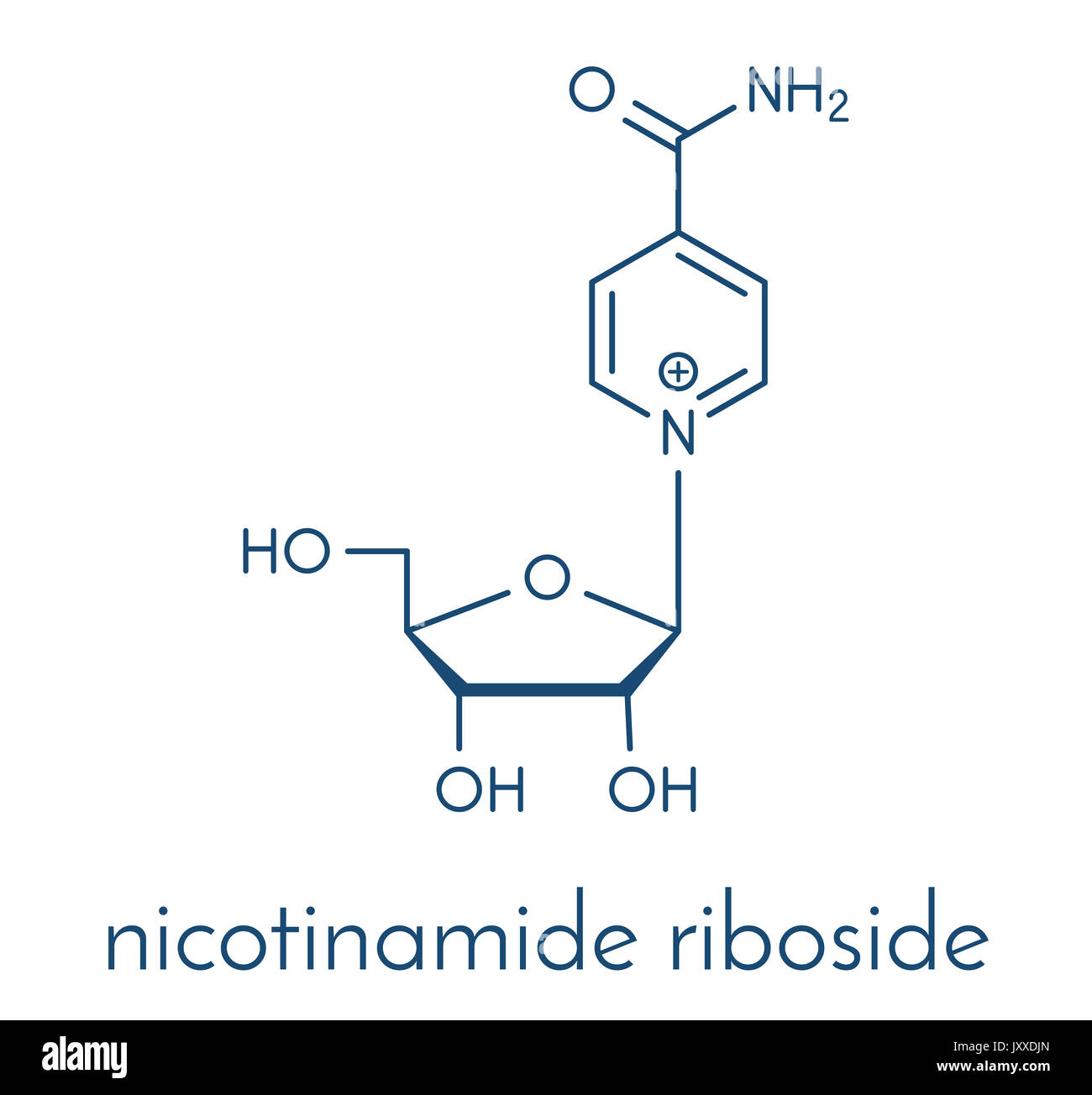 Nicotinamide riboside (NR) molecule. Precursor of nicotinamide adenine dinucleotide (NAD ...