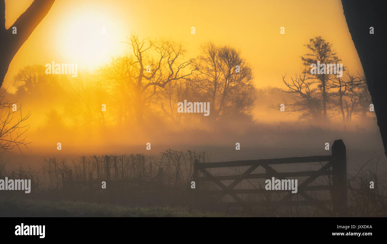 The sun rises on a foggy winter morning in the UK Stock Photo - Alamy