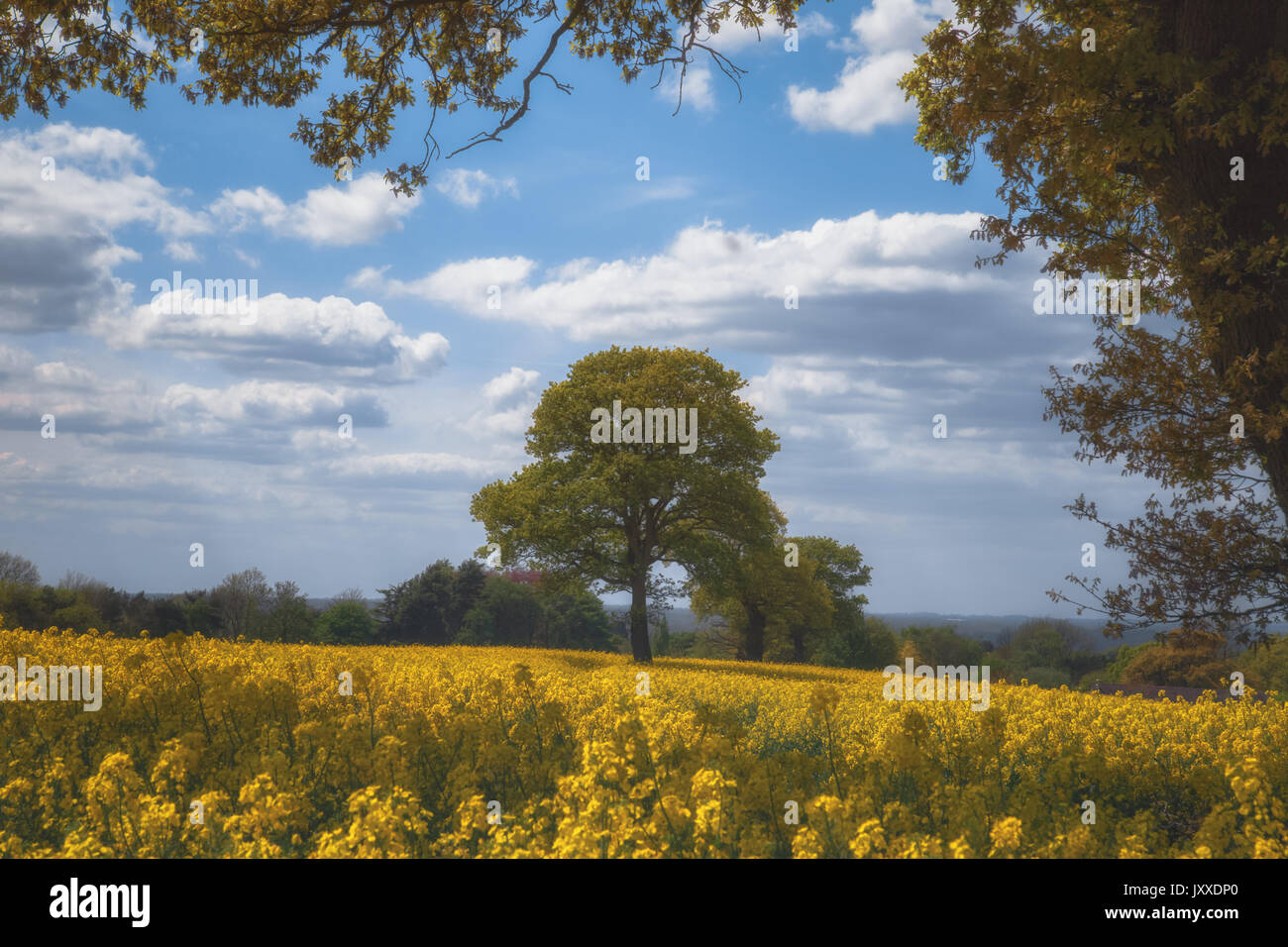 Meriden uk hi-res stock photography and images - Alamy