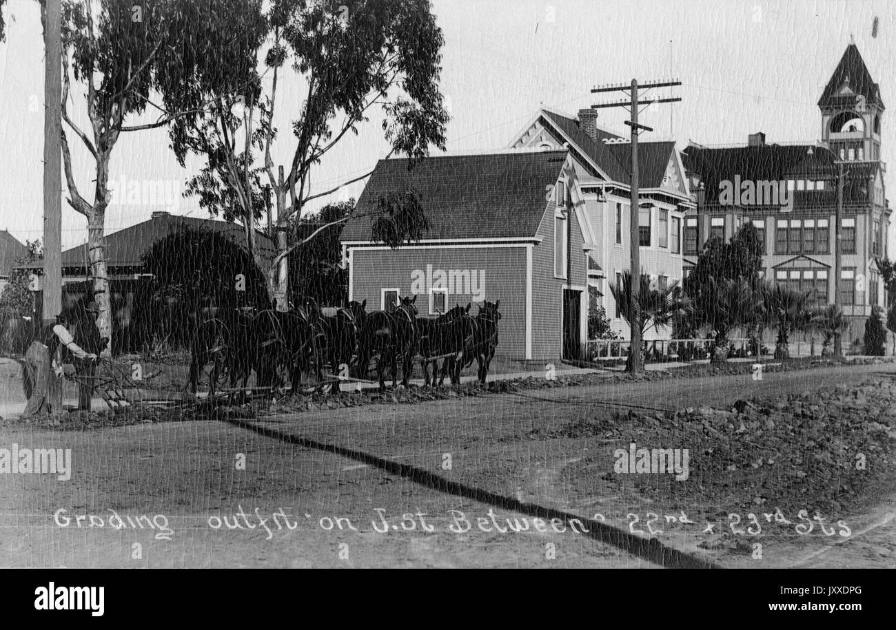 Two American workers and two rows of horses grade a path in front of ...