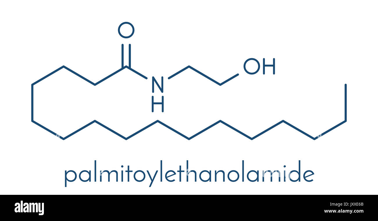 Palmitoylethanolamide (PEA) drug molecule. Skeletal formula Stock Photo ...