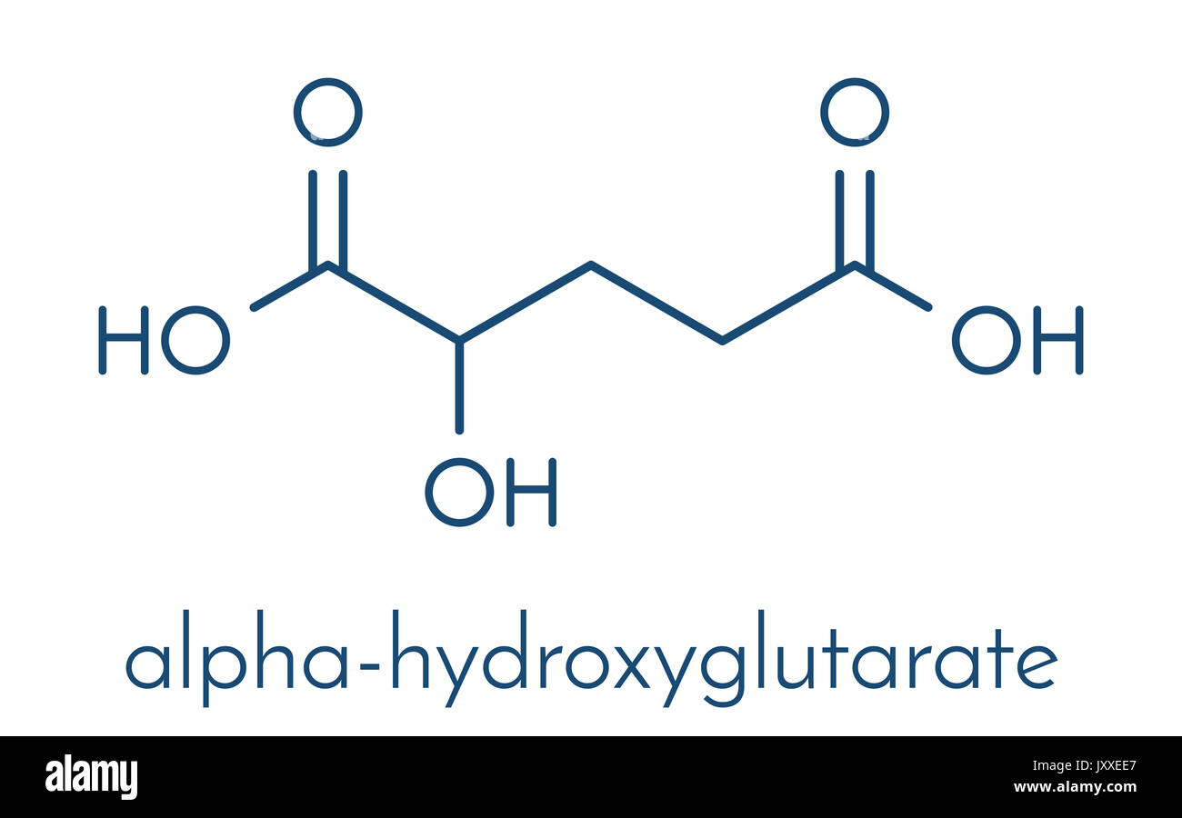 2-hydroxyglutarate molecule. Skeletal formula Stock Photo - Alamy