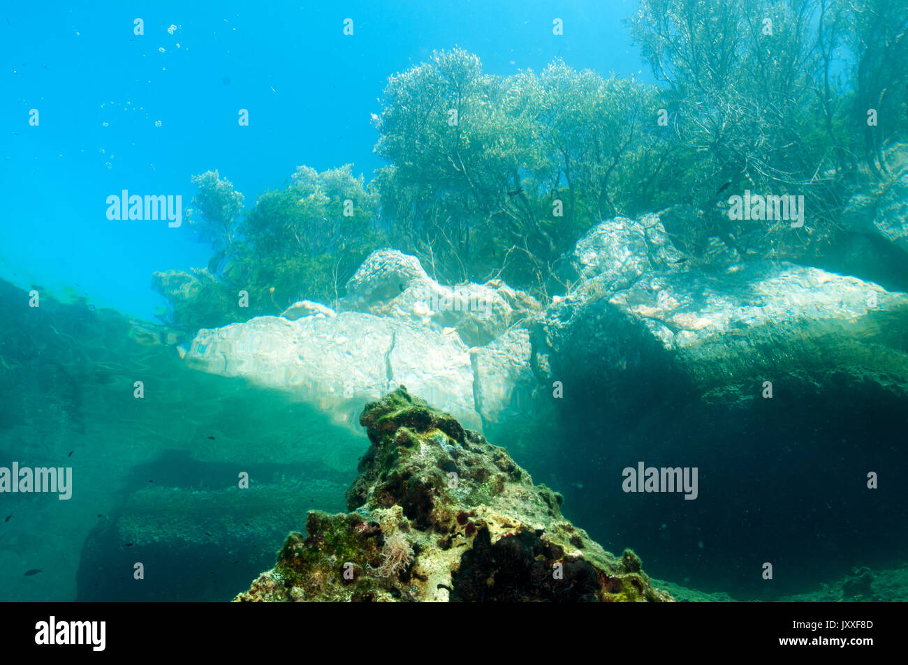 Scenic view of underwater and surface reflections Gokova Bay Turkey ...