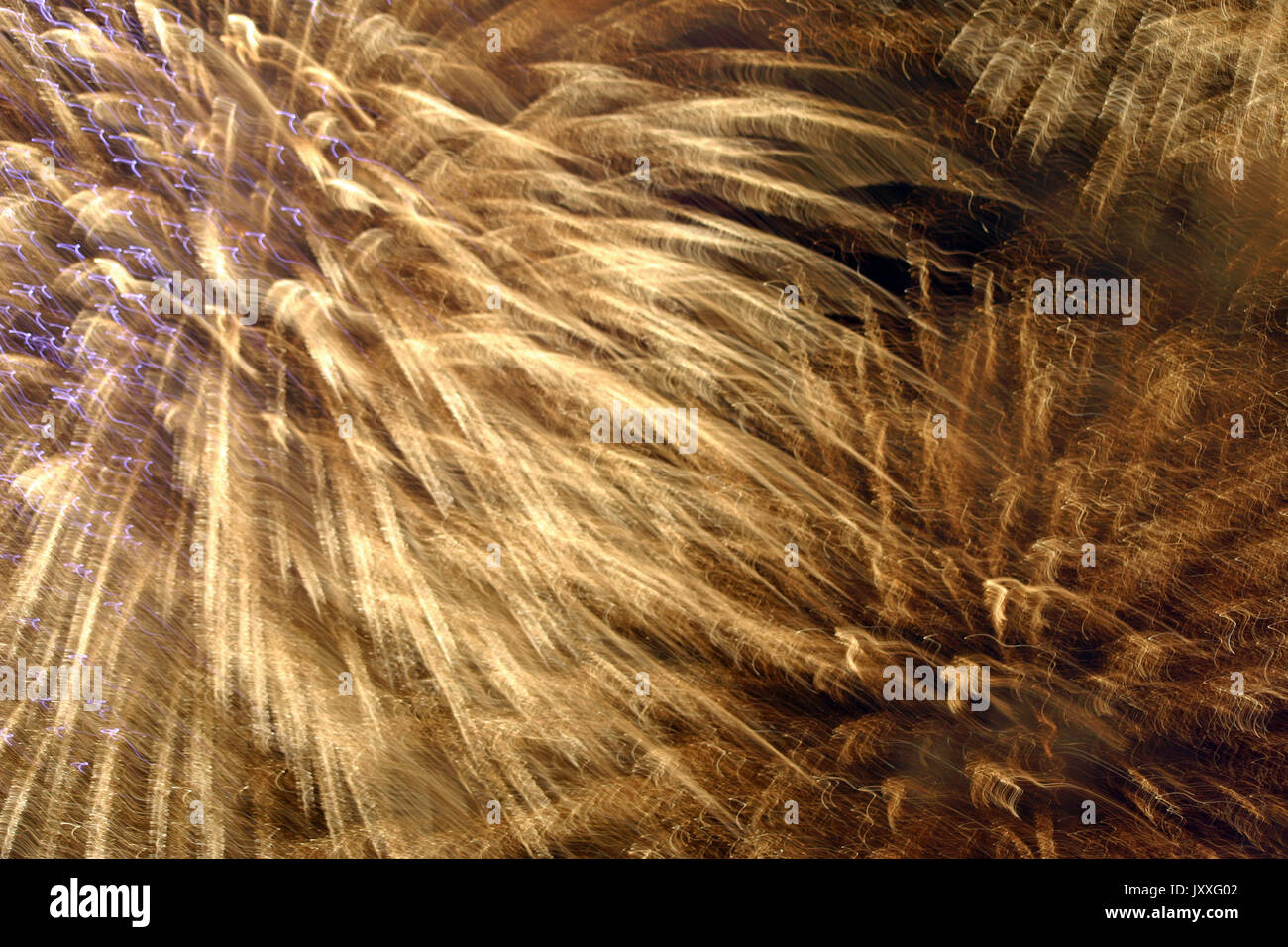 Firework exploding at slow shutter speed making an attractive pattern ...