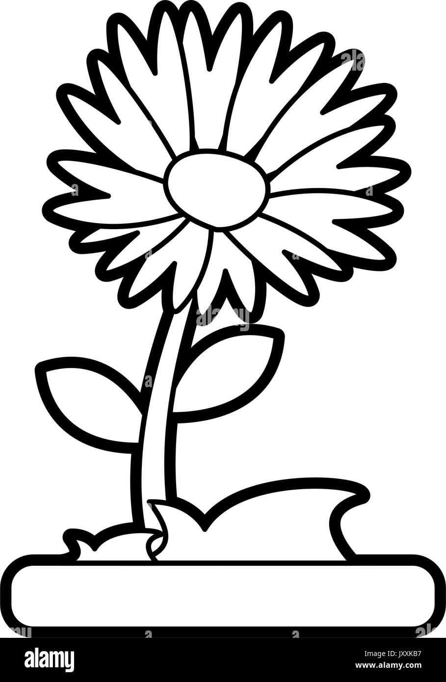 Uncolored flower hi-res stock photography and images - Alamy