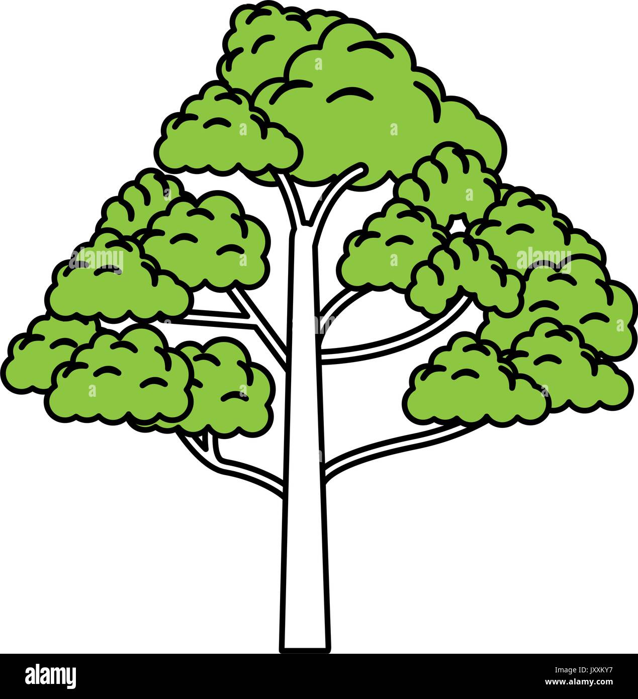 tree vector illustation Stock Vector Image & Art - Alamy