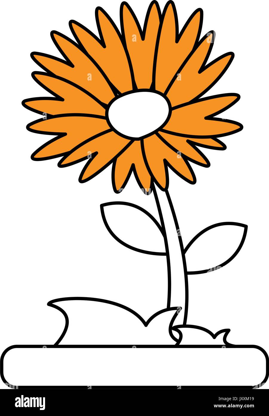 Uncolored flower hi-res stock photography and images - Alamy