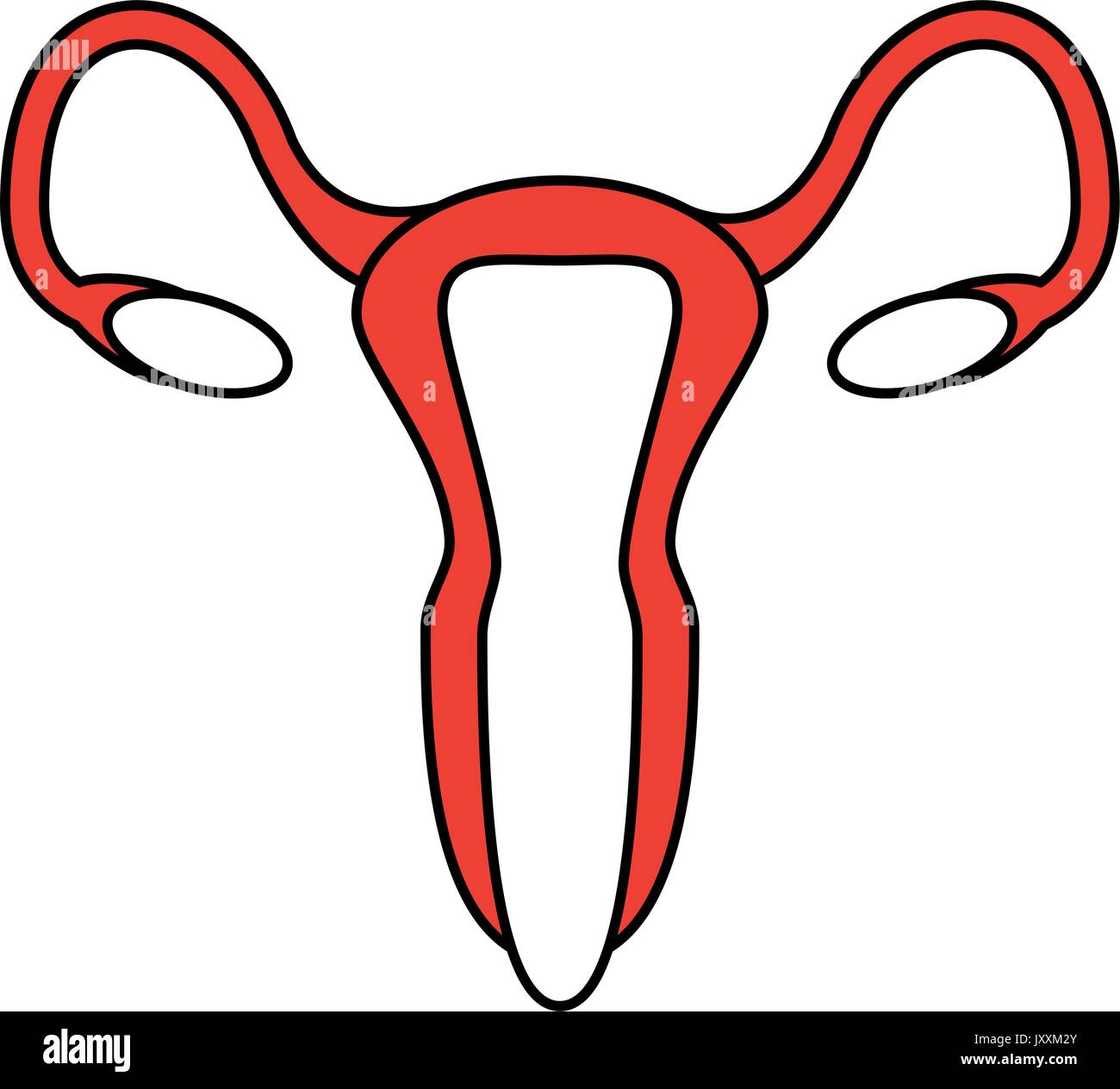 uterus vector illustation Stock Vector Image & Art - Alamy
