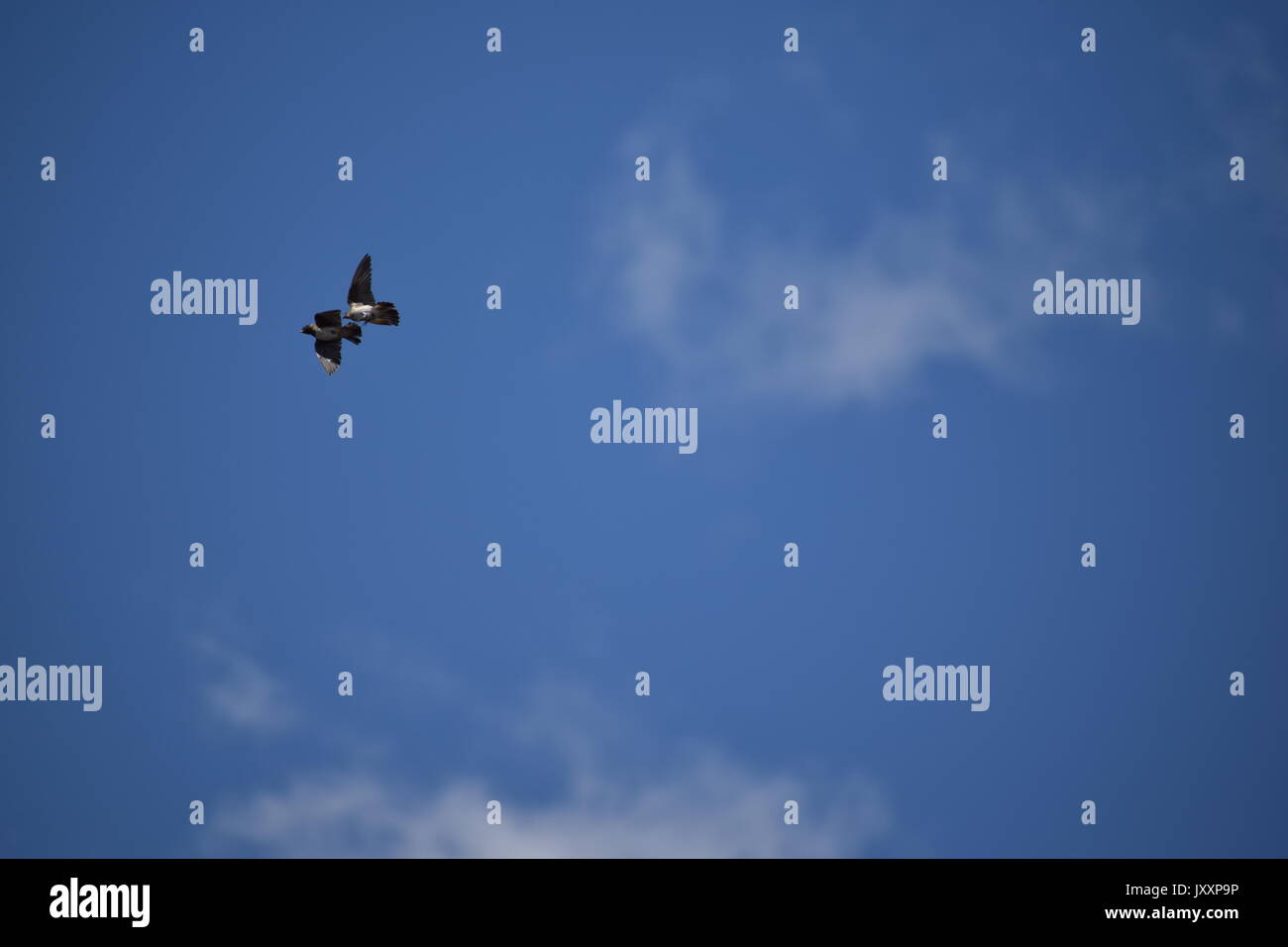 Chasing clouds hi-res stock photography and images - Alamy