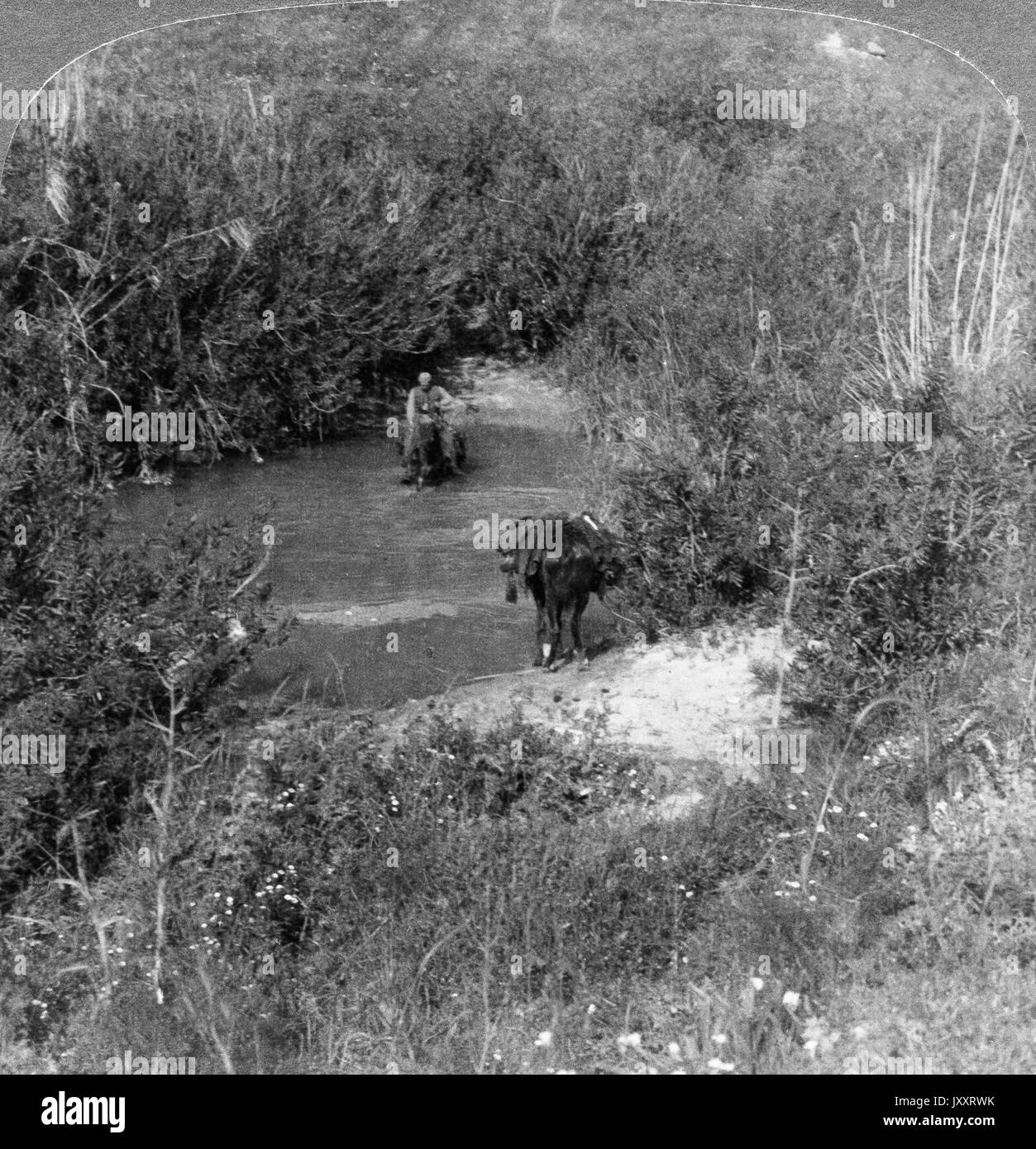 Jabbok river hi-res stock photography and images - Alamy