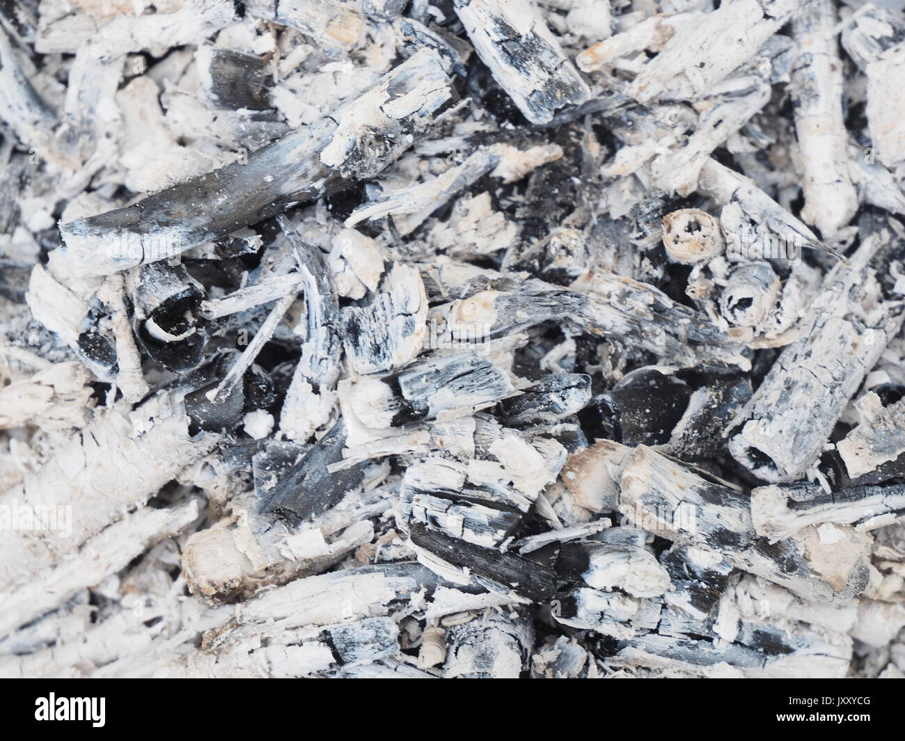 The wonderful coal pit hi-res stock photography and images - Alamy