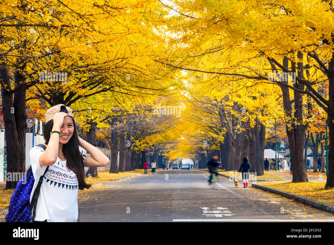 Hokkaido, Japan - 01 Nov, 2014 : The fall season in the autumn Hokkaido ...