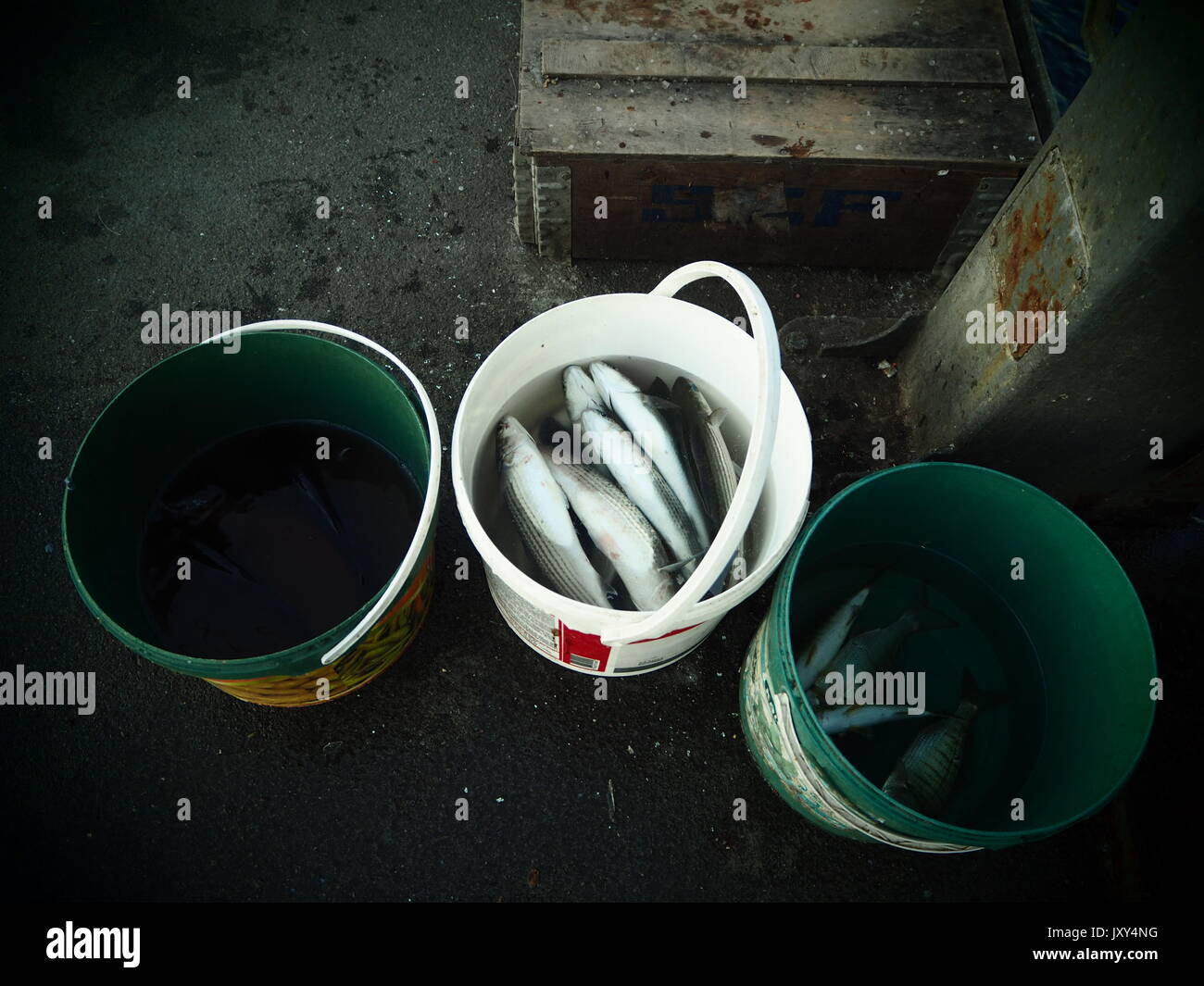 Fish buckets hi-res stock photography and images - Alamy