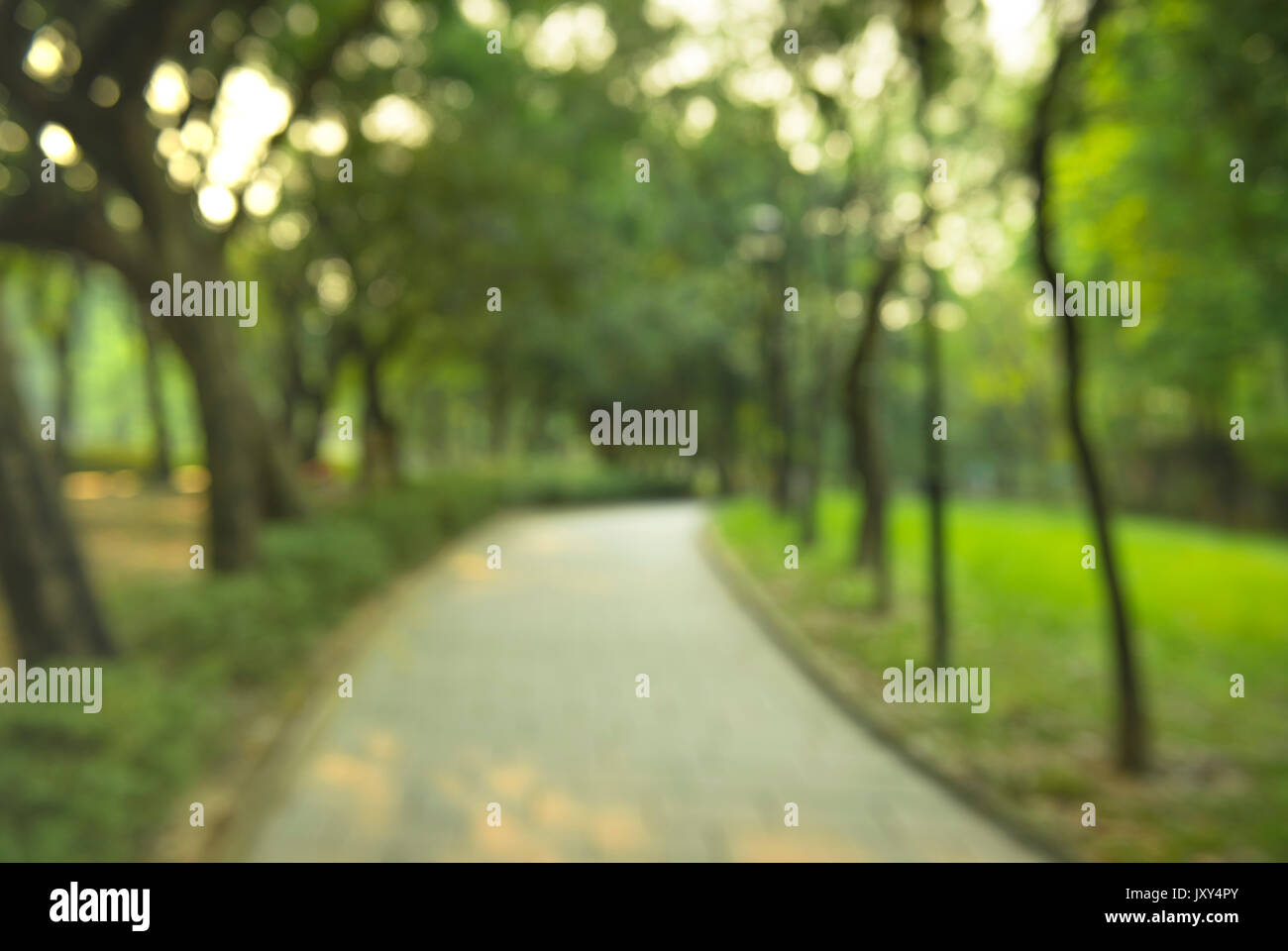 Abstract blur image of empty walkway to the green garden Stock Photo ...