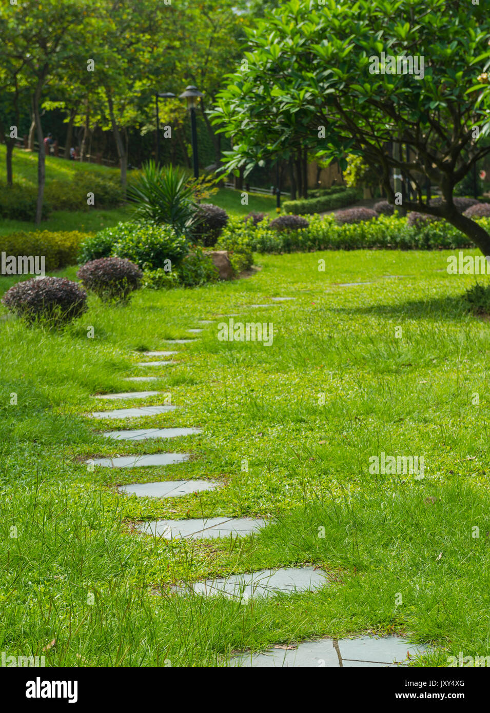 Park landscape in blurry focus hi-res stock photography and images - Alamy