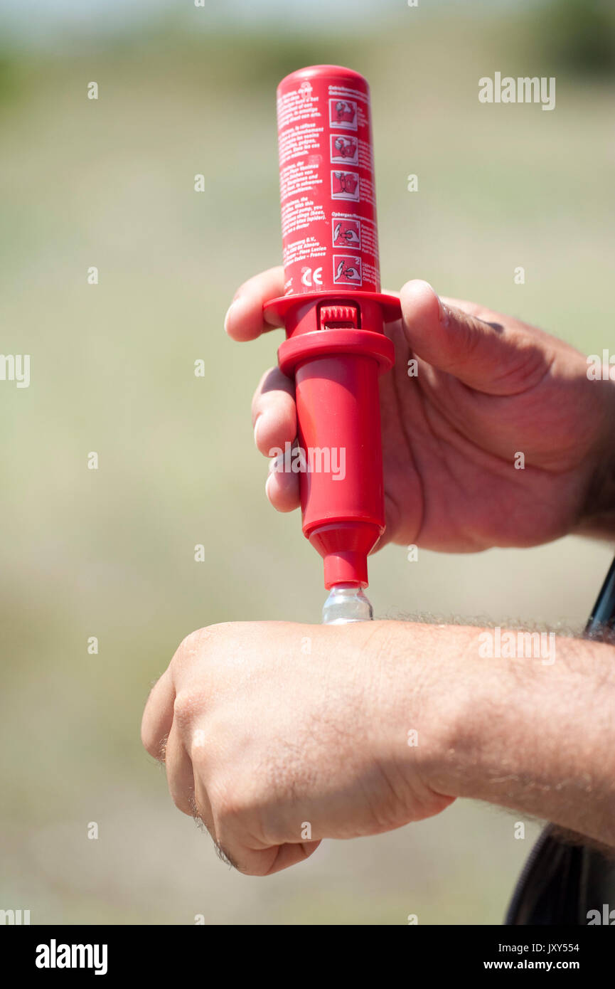 Venom Extractor, vacuum pump, Romania, used to emove the venom of ...