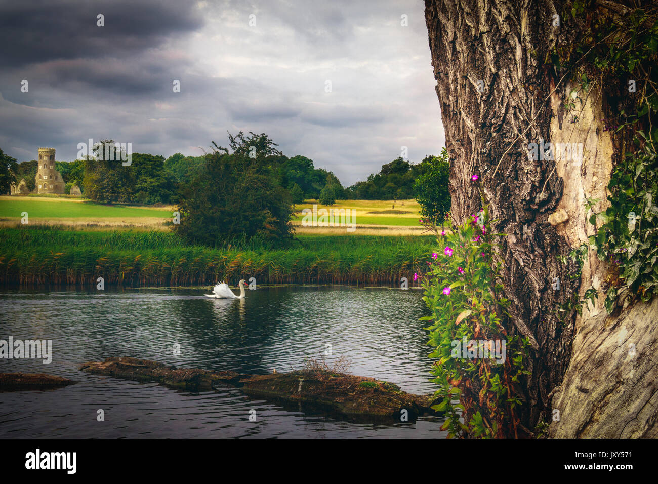 Wimpole farm hi-res stock photography and images - Alamy