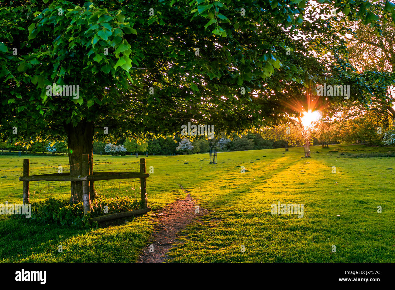 Wimpole estate hi-res stock photography and images - Alamy