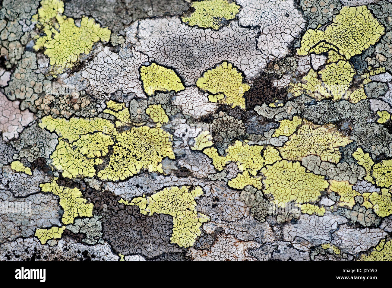 Map of transylvanian alps hi-res stock photography and images - Alamy