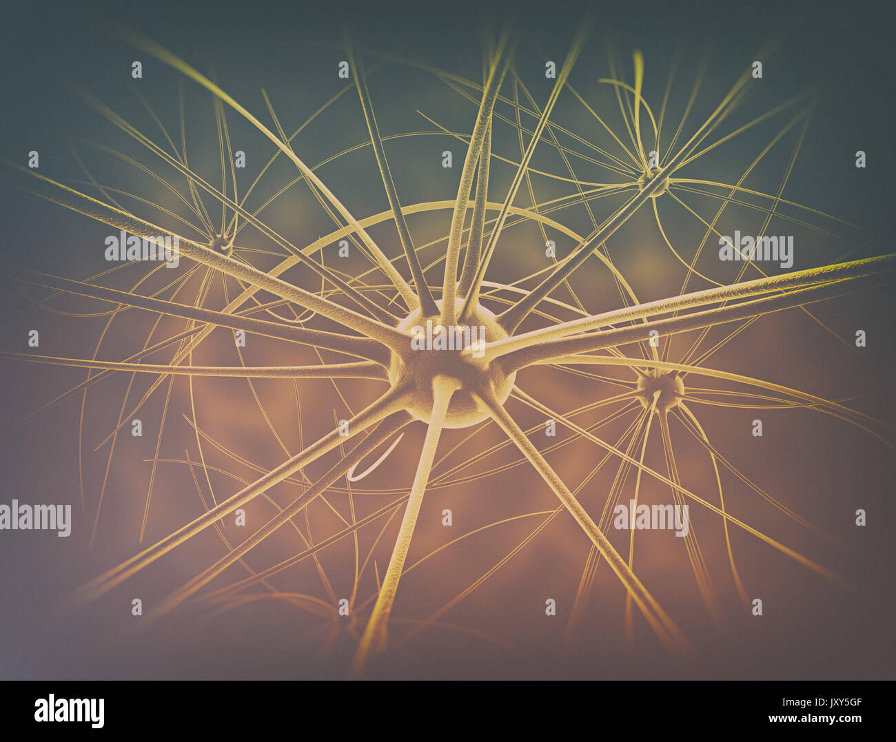 3D Illustration of neurons Stock Photo - Alamy