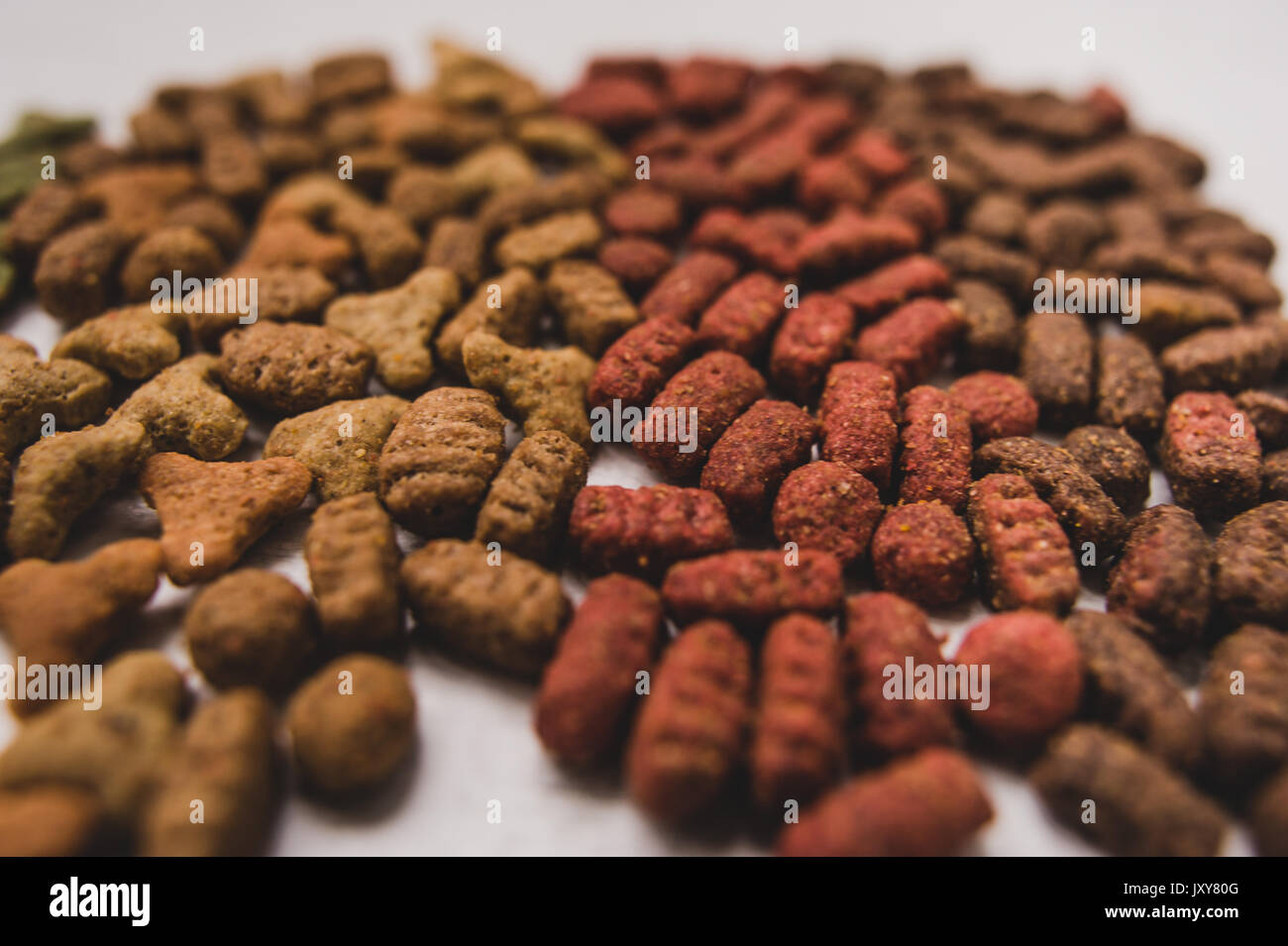 Cat snack photo hi-res stock photography and images - Alamy