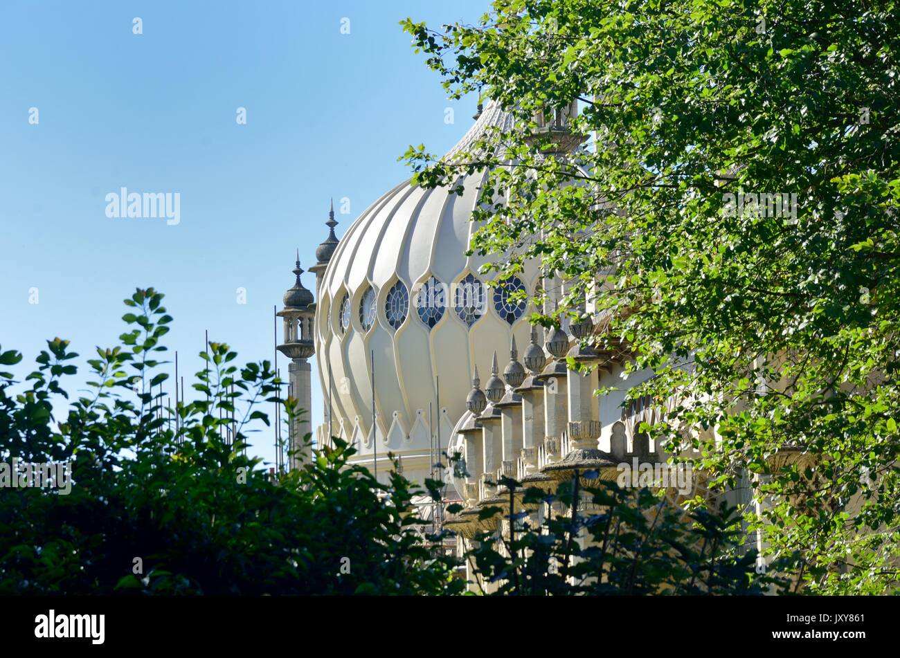 Brighton trees grass hi-res stock photography and images - Alamy