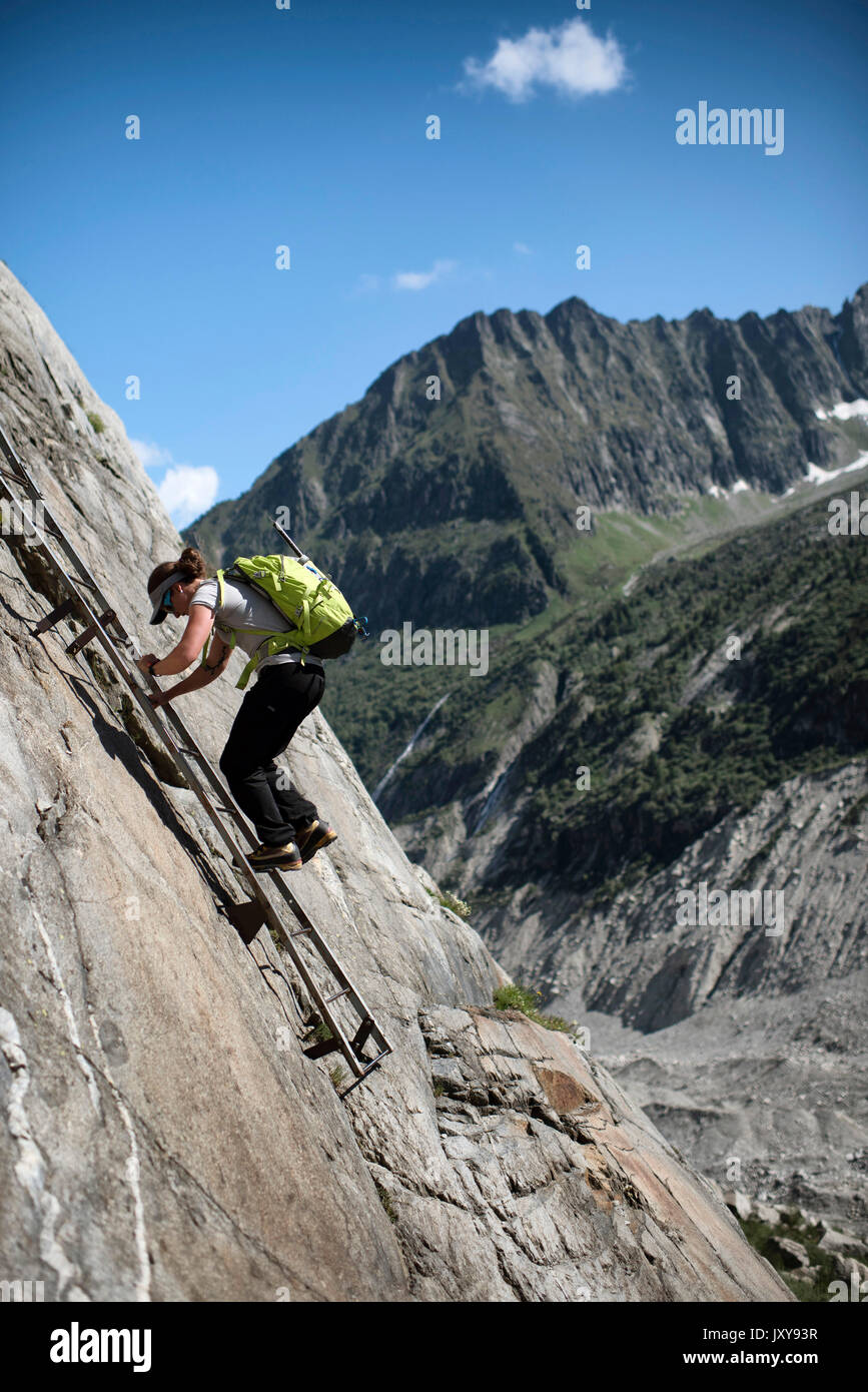 Chamonix-Mont-Blanc (Upper Savoy, French Alps, eastern France): ladders ...