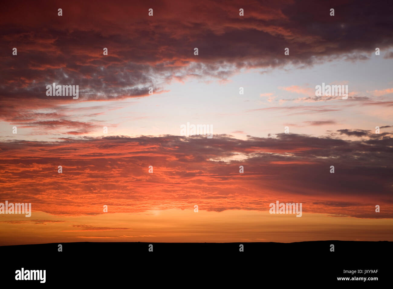 Paracas sunset hi-res stock photography and images - Alamy