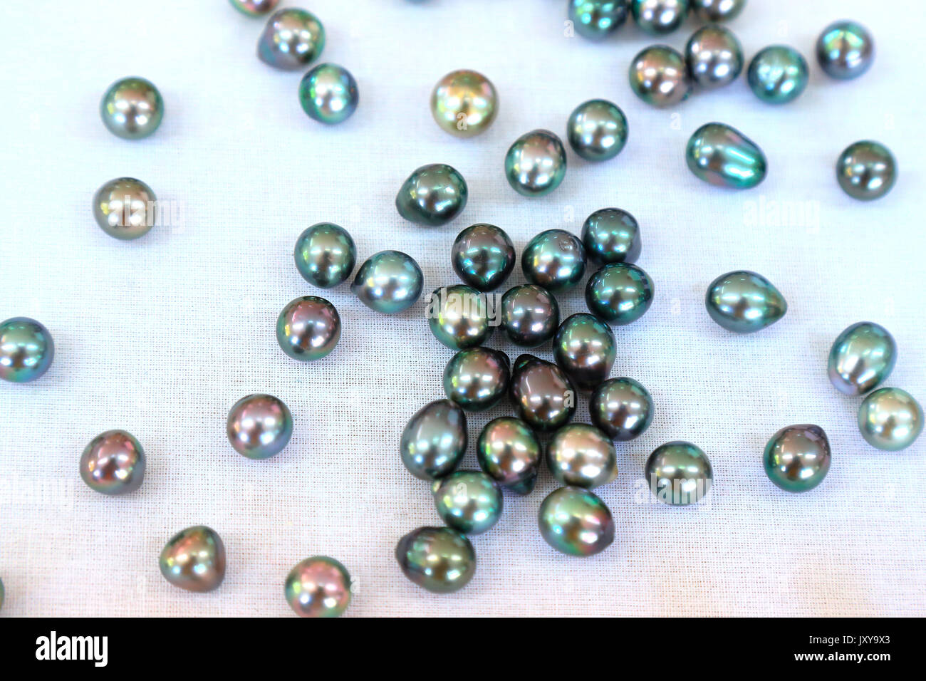 Cultured pearl from Polynesia displayed in a pearl oyster. Tahitian ...