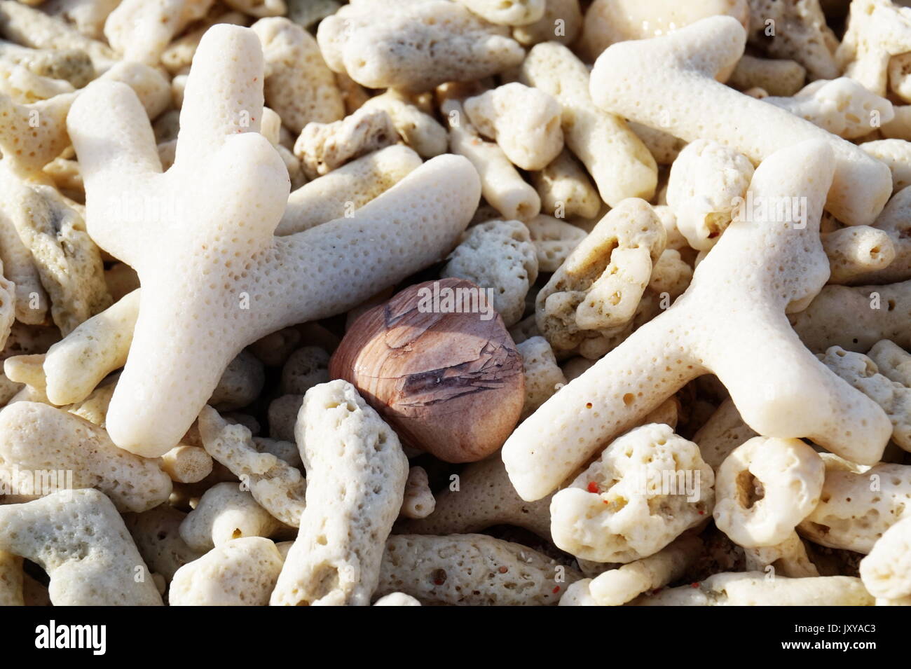 Nature is not a place to visit, it is happiness for someone with deep ...