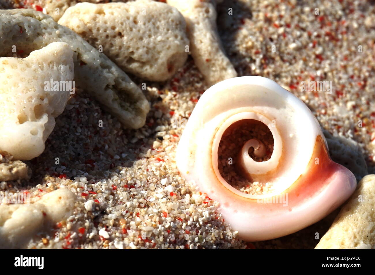 Nature is not a place to visit, it is happiness for someone with deep ...