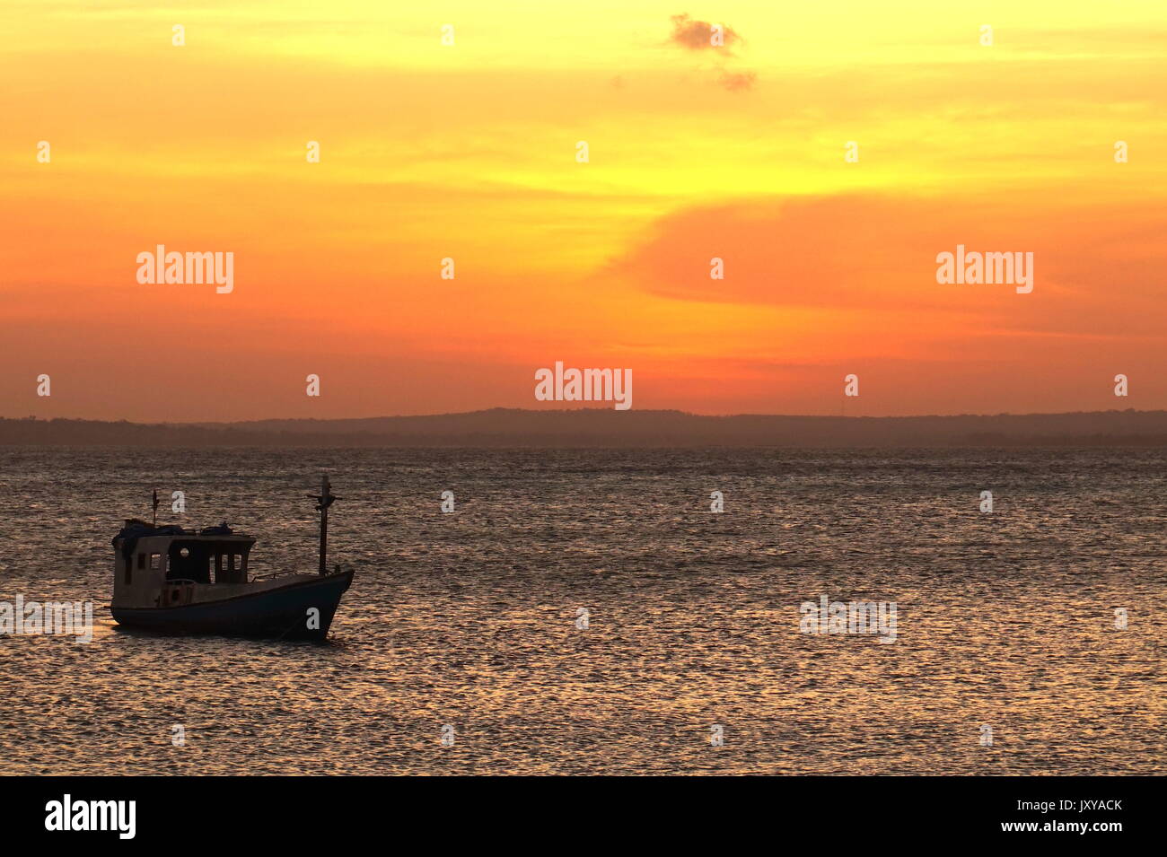 Nature is not a place to visit, it is happiness for someone with deep ...