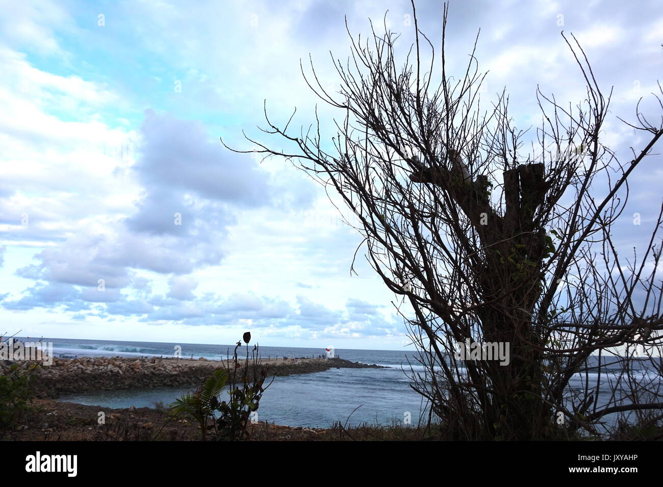 Nature is not a place to visit, it is happiness for someone with deep ...