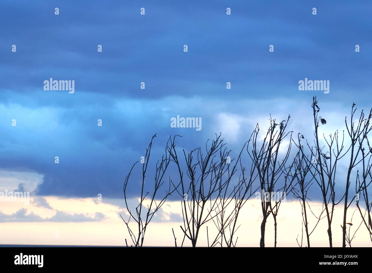 Nature is not a place to visit, it is happiness for someone with deep ...