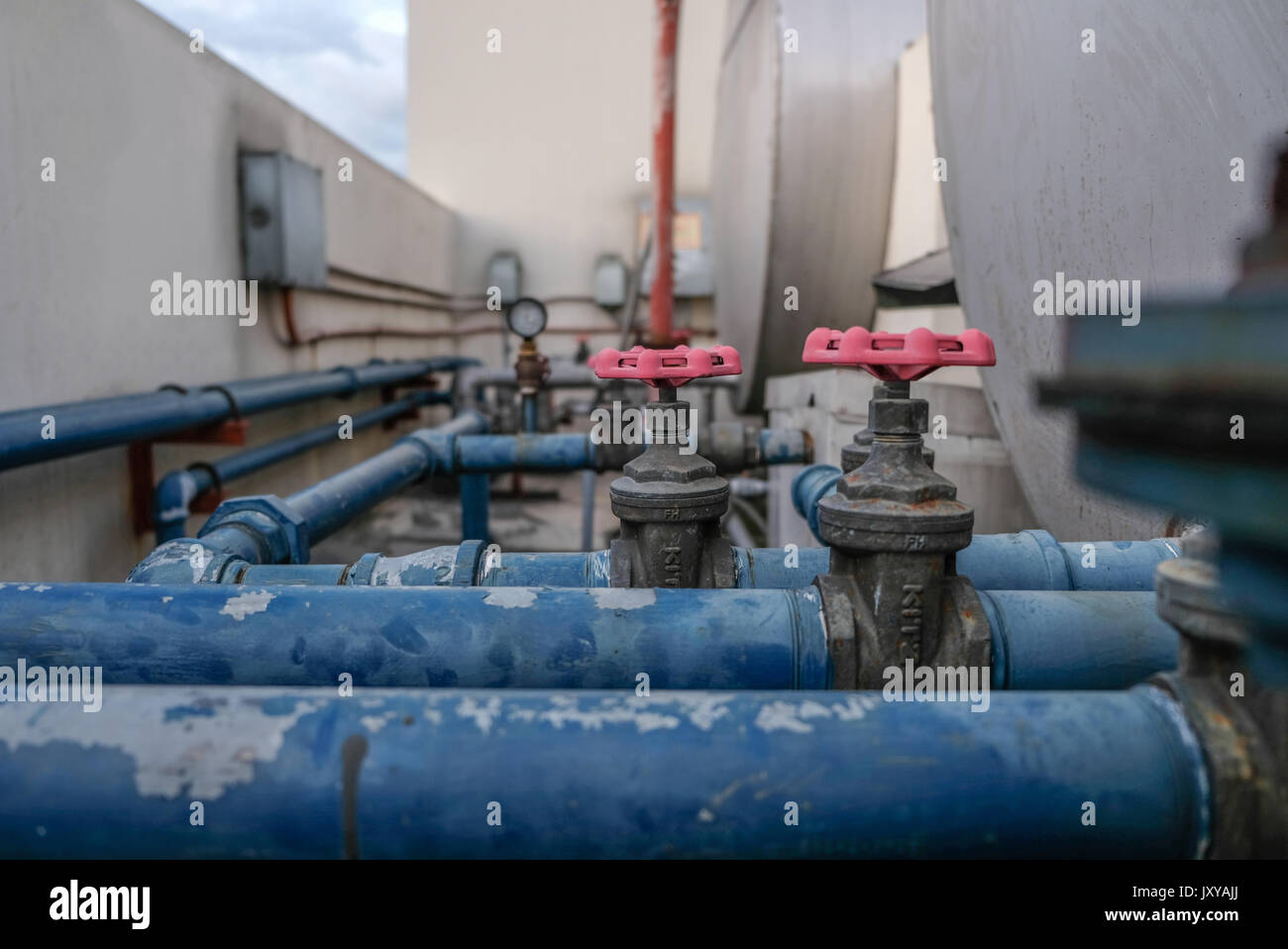 Valve knob, faucet handle, valve handle Stock Photo - Alamy