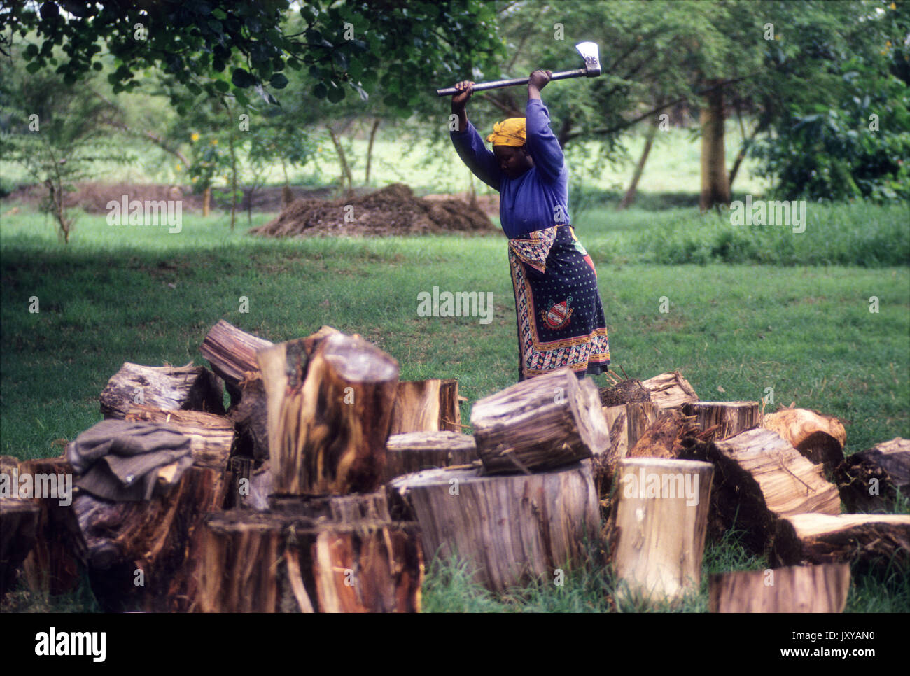 African woman cutting firewood at Lake Naivasha, Kenya Stock Photo - Alamy