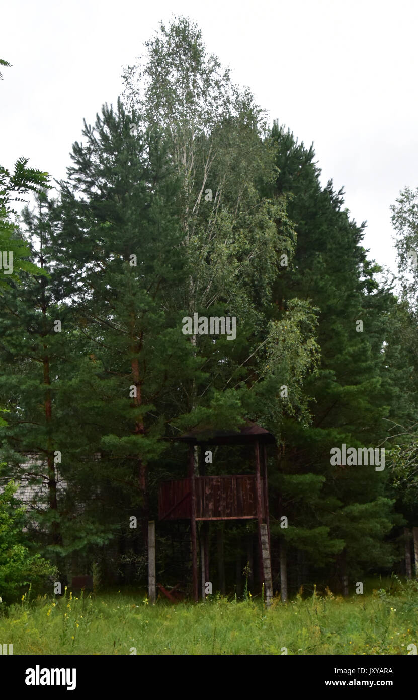 Cold War Duga RADAR Station Chernobyl Stock Photo - Alamy