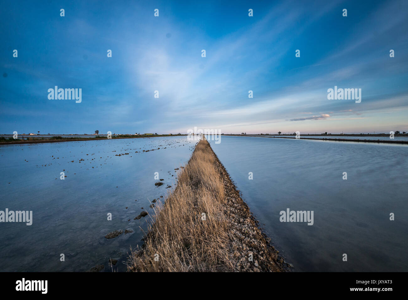 Joan rice hi-res stock photography and images - Alamy