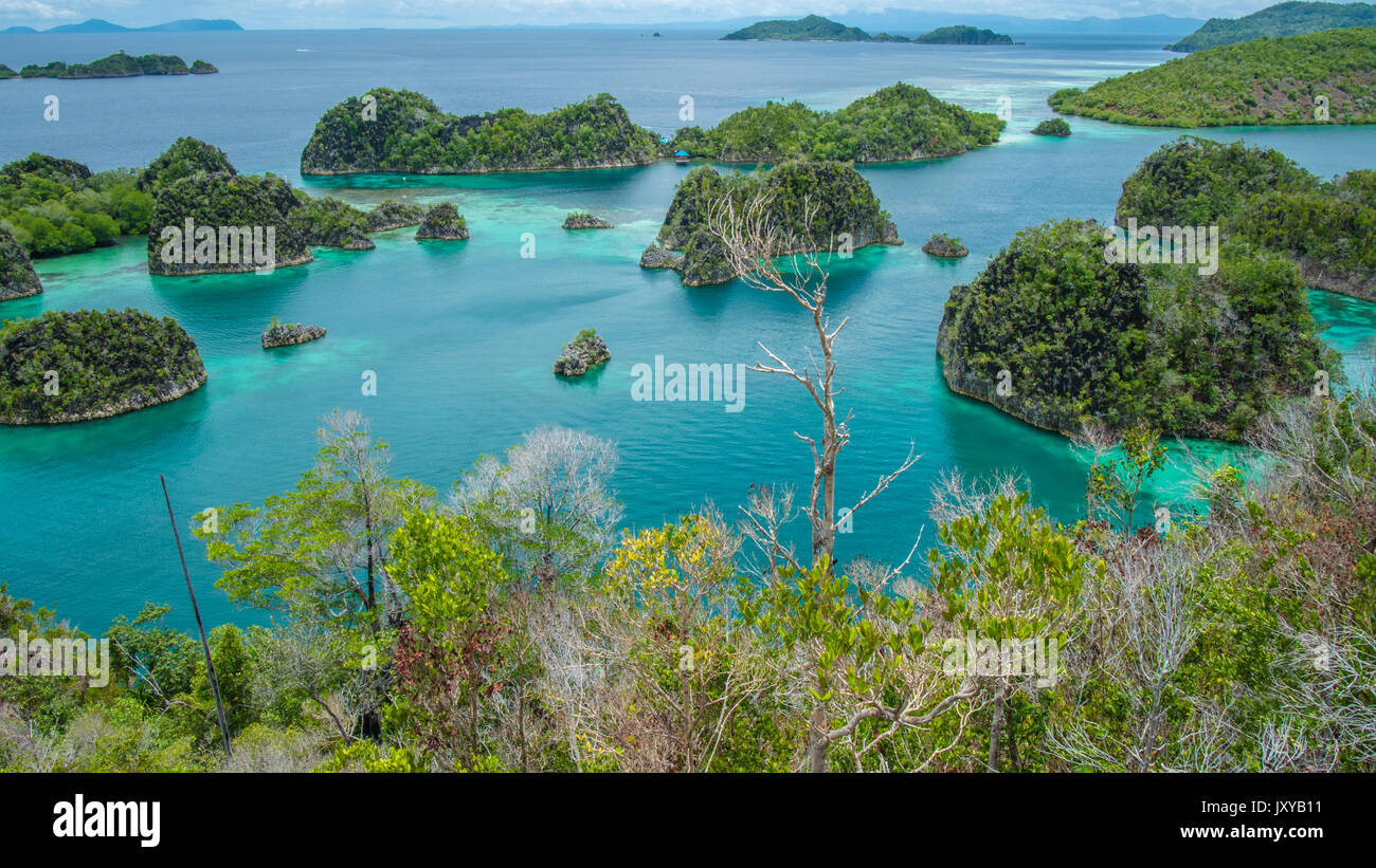 Painemo Island, Blue Lagoon, Raja Ampat, West Papua, Indonesia Stock ...
