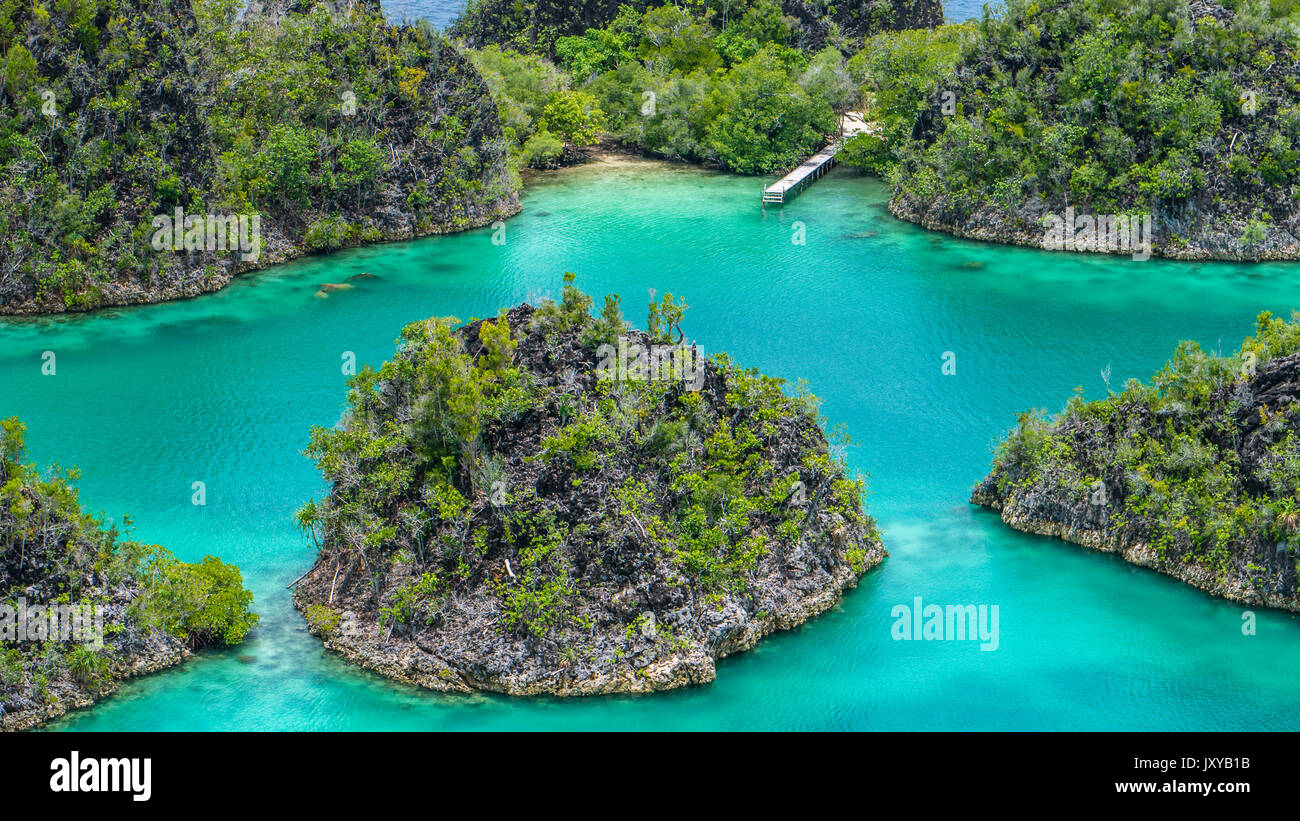 Raja ampat, indonesia pianemo hi-res stock photography and images - Alamy